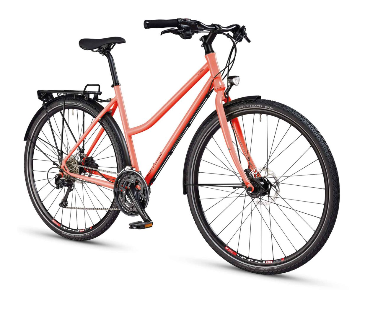 Damen Citybike - Bikepacking - Basel - MTB Cycletech Andale